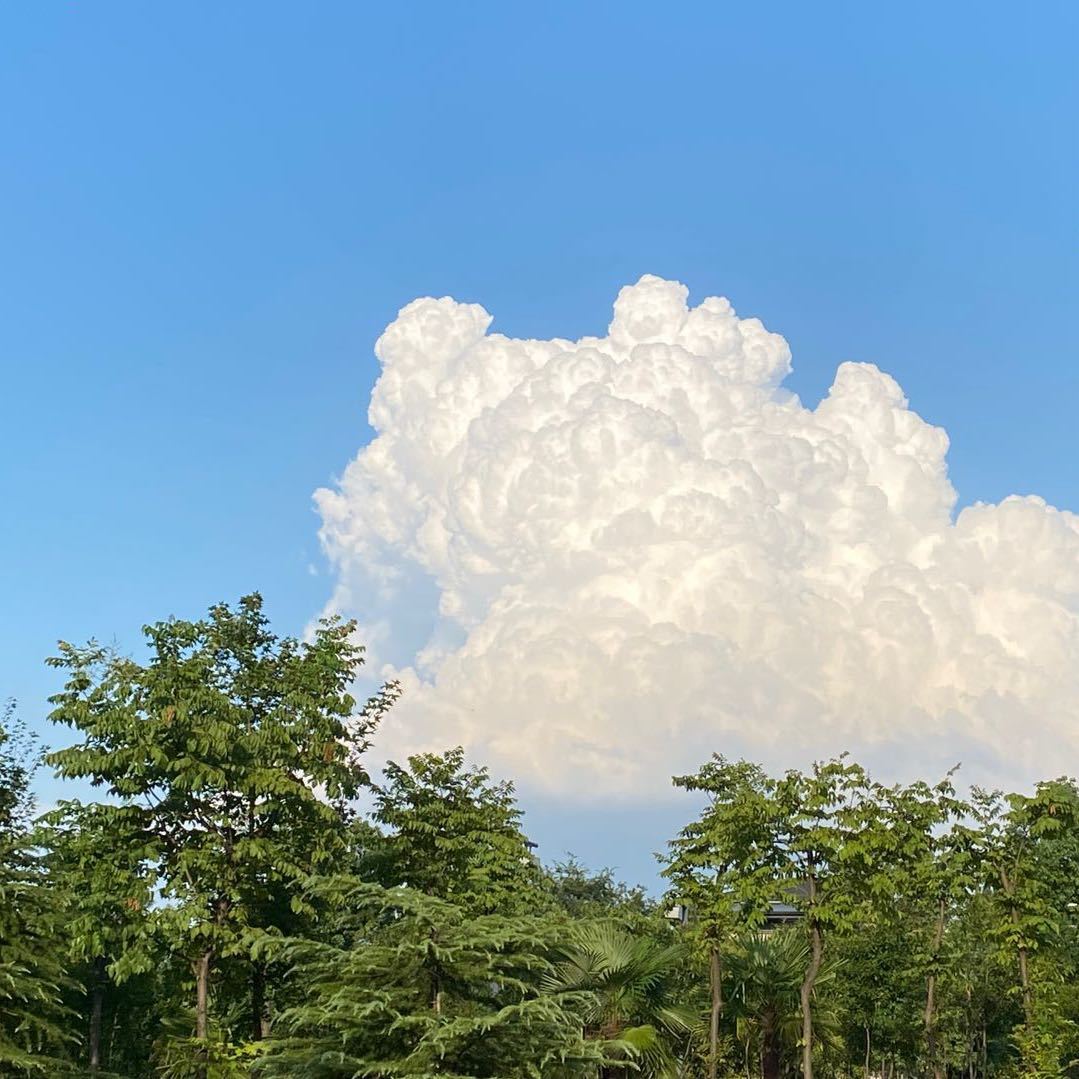 Cunhang Fan（范存航） - Cunhang Fan